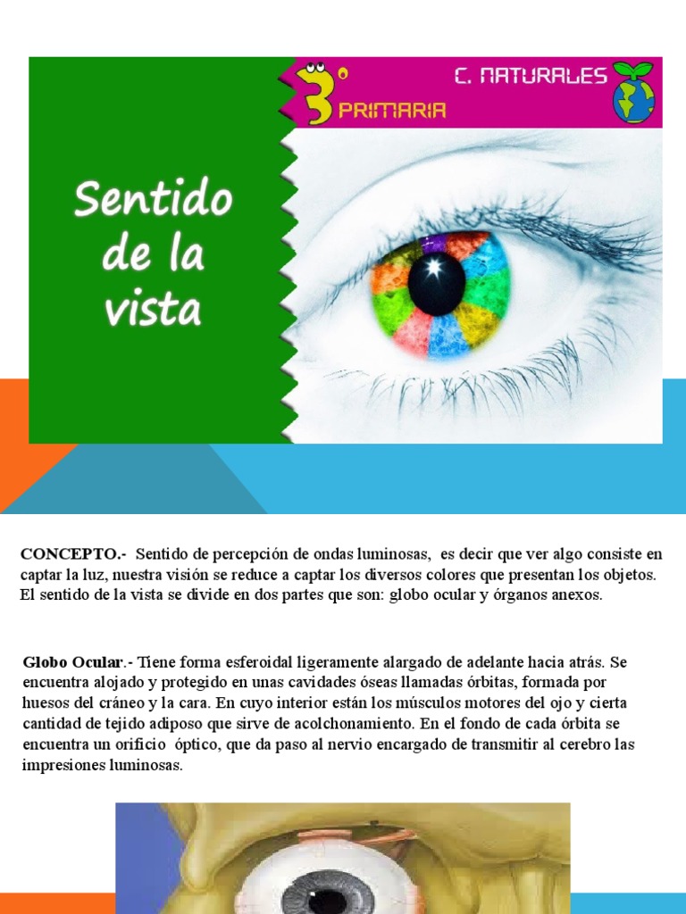 1 Sentido de La Vista | PDF | Ojo humano | Percepción visual