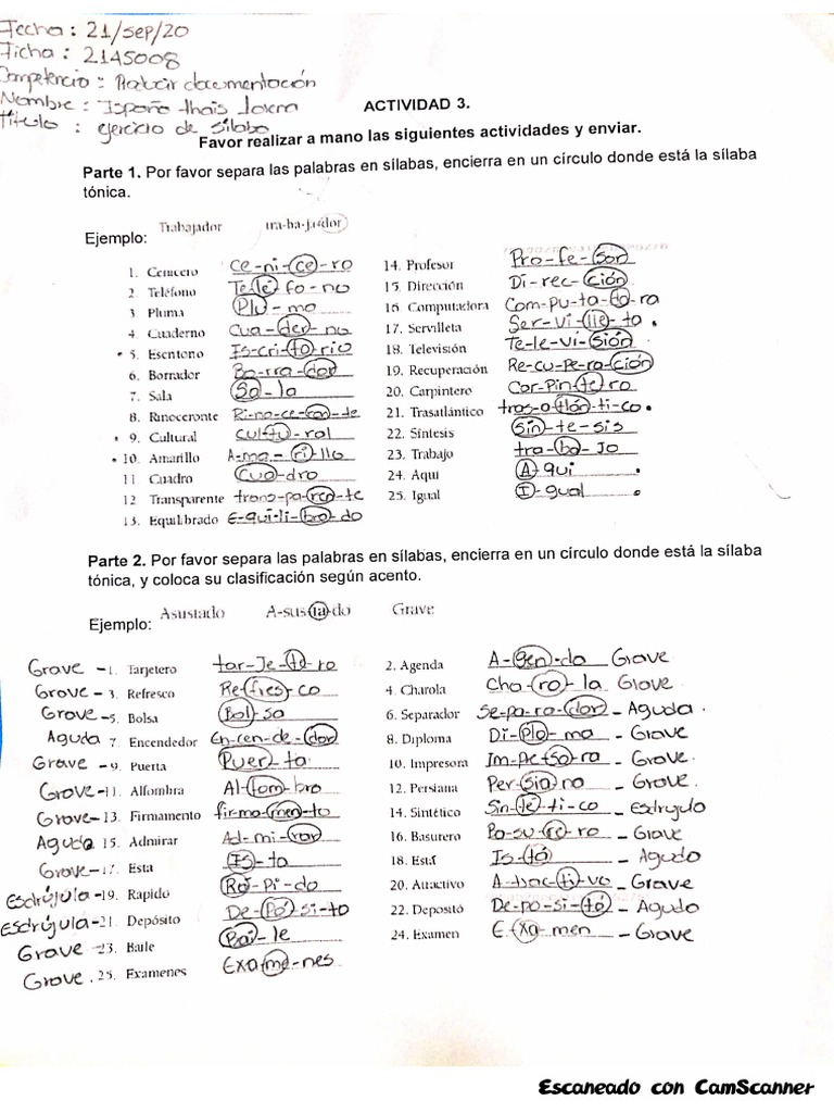 Actividad 3 Sílabas | PDF