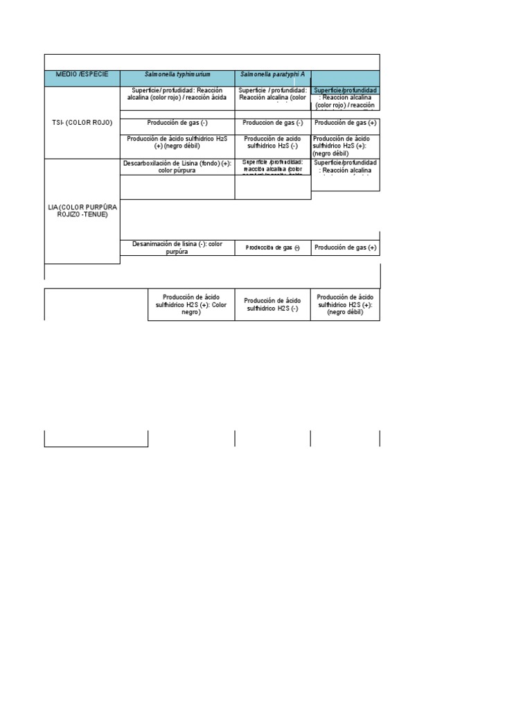 Tsi y Lia | PDF | Industria química | Gases