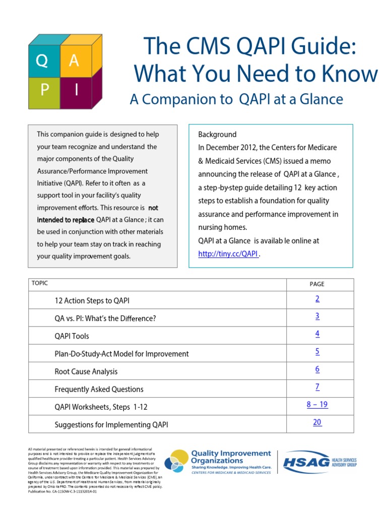 Hsag Qapi Companion | PDF | Quality Assurance | Goal