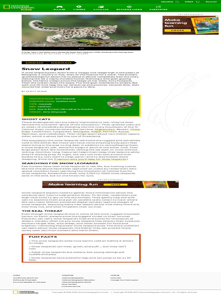 Snow Leopard | PDF | Leopard | Zoology