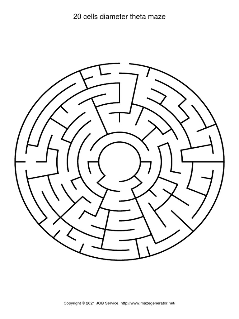 20-Cell Diameter Theta Maze Solution | PDF