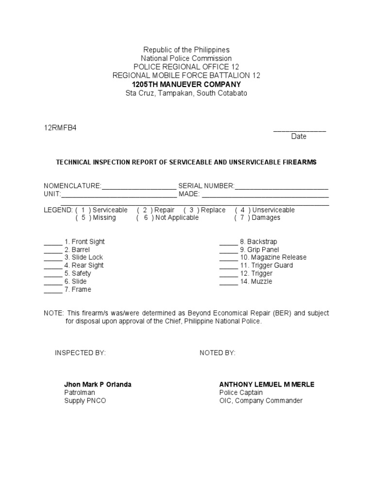 Technical Inspection Report | PDF