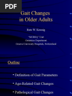 Gait Speed Norms for Ambulation Types | PDF