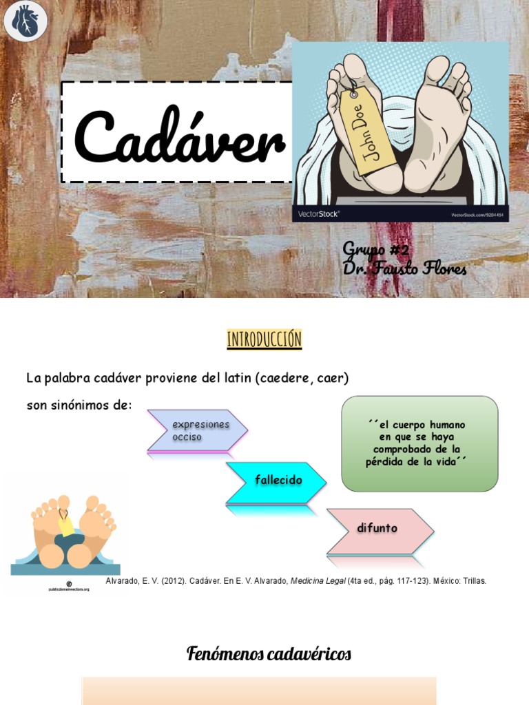Cadáver | PDF | Descomposición | Fisiología