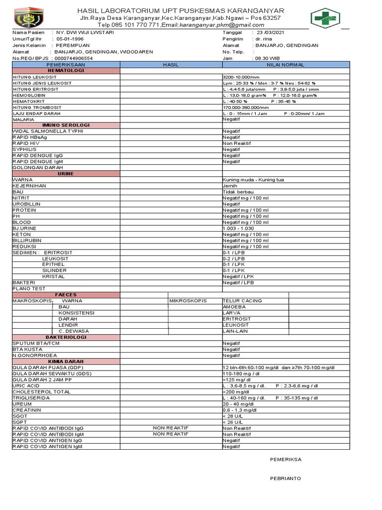 Blangko Hasil Lab | PDF