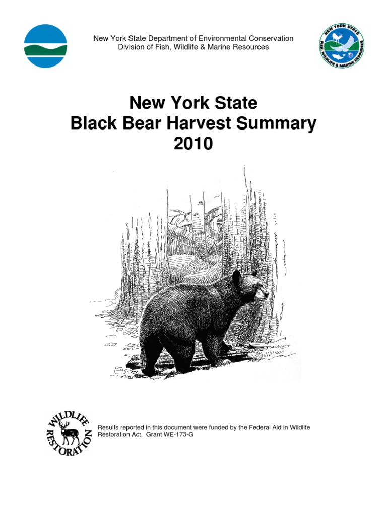 NY 2010 Black Bear Harvest Report | PDF