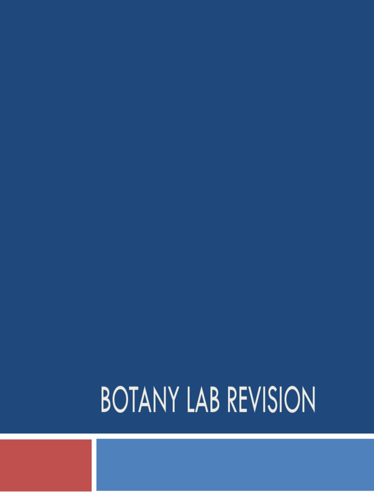 Botany Lab Revision | PDF | Leaf | Botany