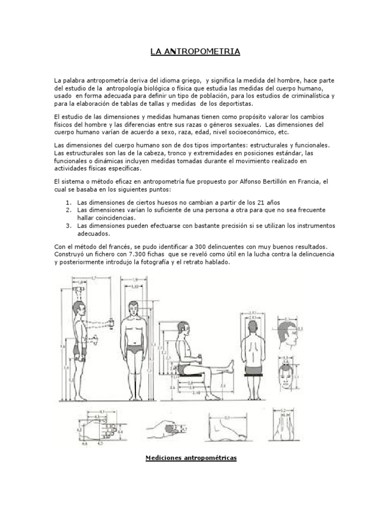 La Antropometría Estudio De Las Medidas Del Cuerpo Humano Pdf