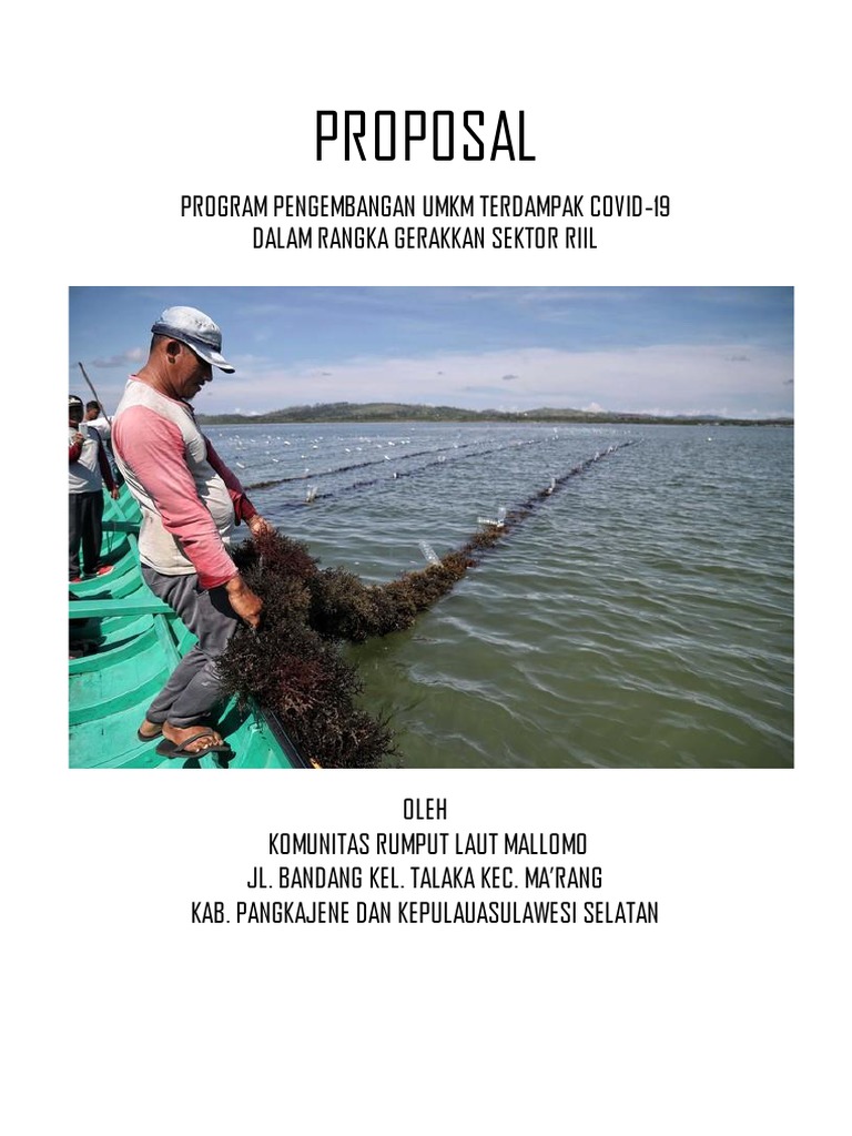 Proposal Rumput Laut | PDF