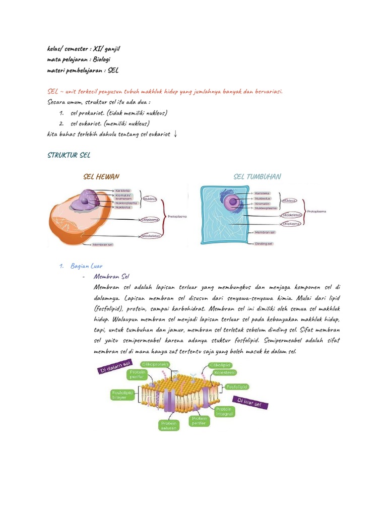 Materi Biologi Kelas Xi - Sel | PDF
