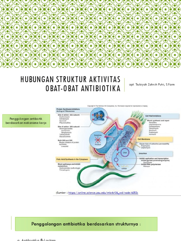 Hubungan Struktur Aktivitas Obat-Obat Antibiotika | PDF