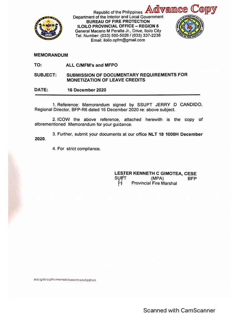 Requirements For Monetization of Leave Credits | PDF