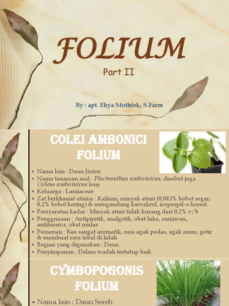 Folium 2 | PDF