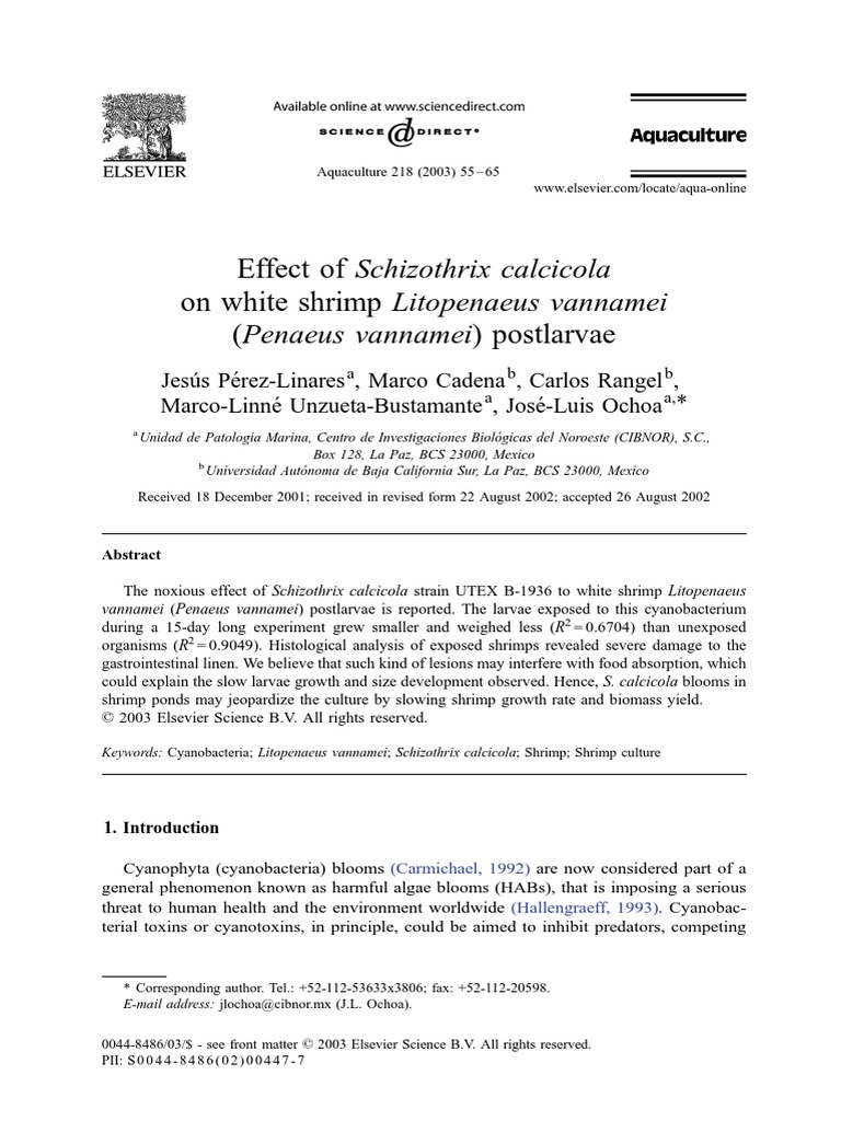 Effect of Schizothrix Calcicola On White | PDF | Cyanobacteria ...