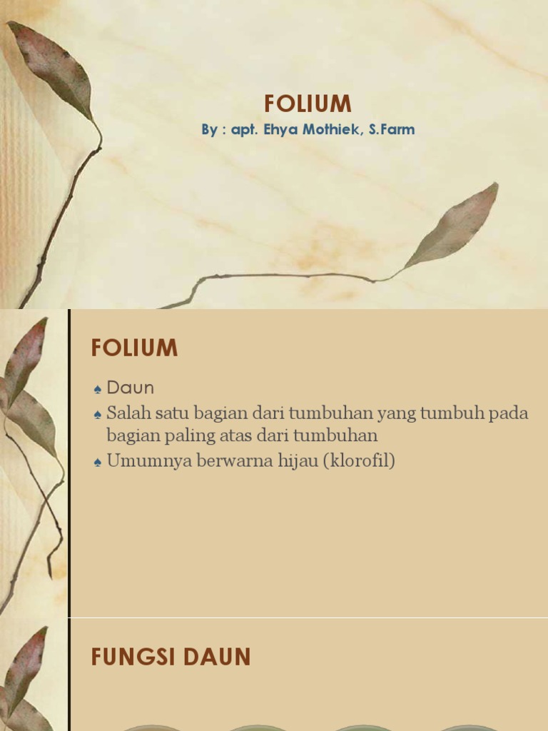 Folium 1 | PDF