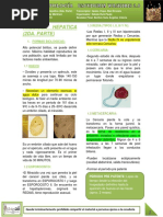 Ficha Técnica Quantrel | PDF | Medicamentos con receta | El embarazo
