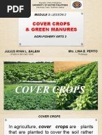 Organic Vegetable Production | PDF | Crop Rotation | Organic Farming