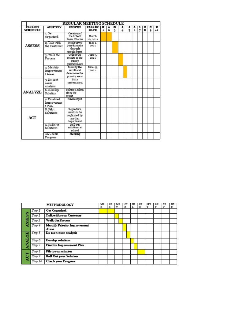 Cip-Timeline of Activities | PDF