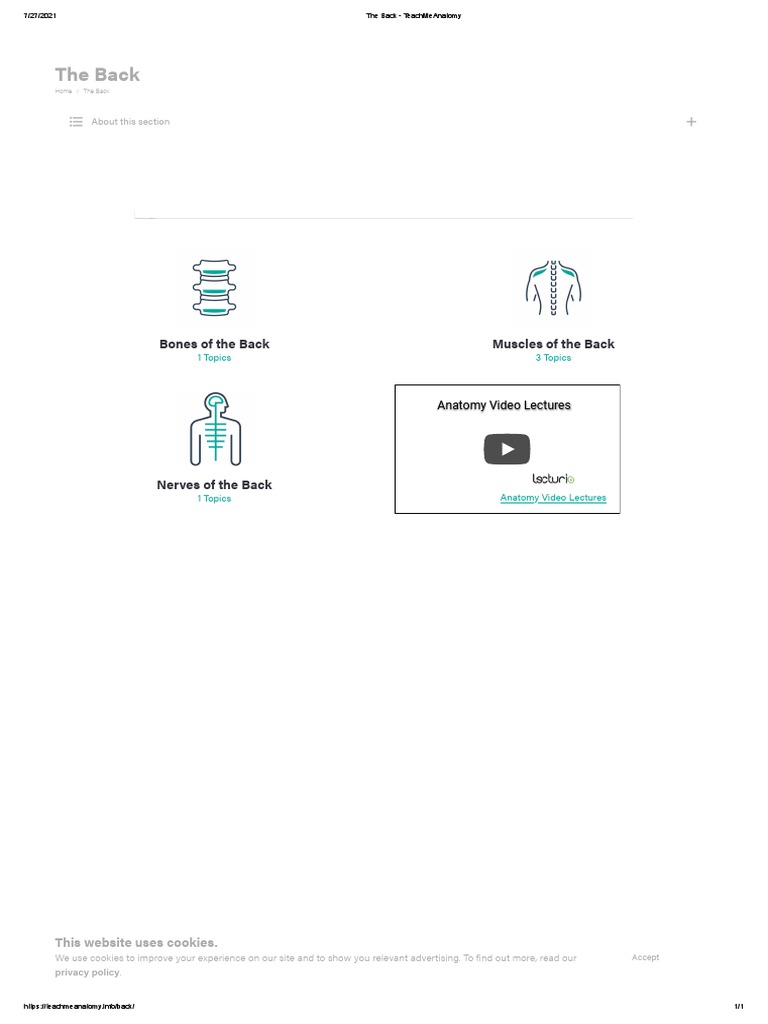 The Back - TeachMeAnatomy | PDF