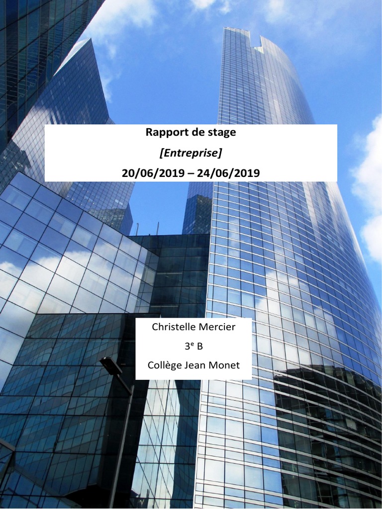 Exemple Rapport-Ecrit 1 | Descargar gratis PDF | Audit | Gestion des ...