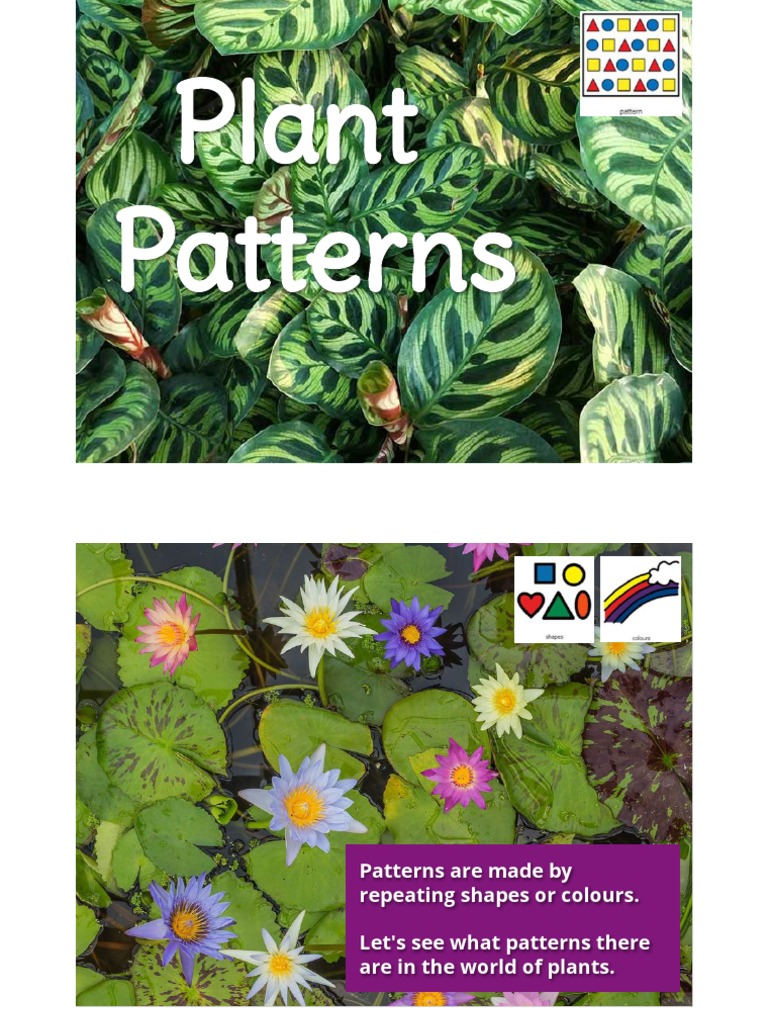 Plant Patterns | PDF