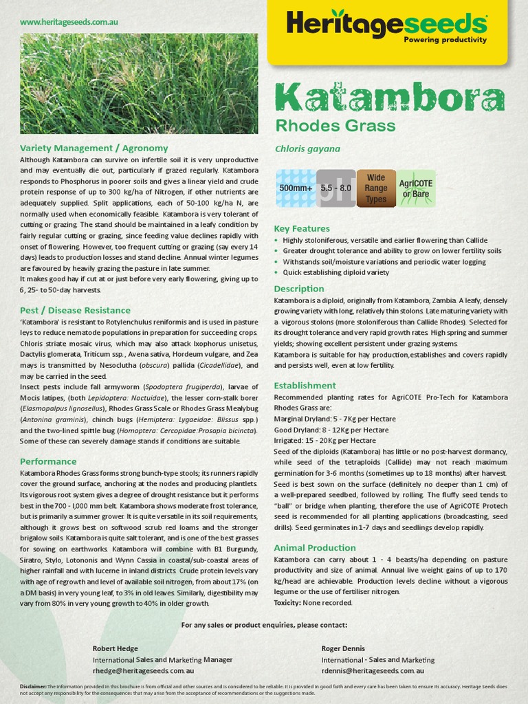 Katambora Rhodes Grass Fact Sheet | PDF | Plants | Agriculture