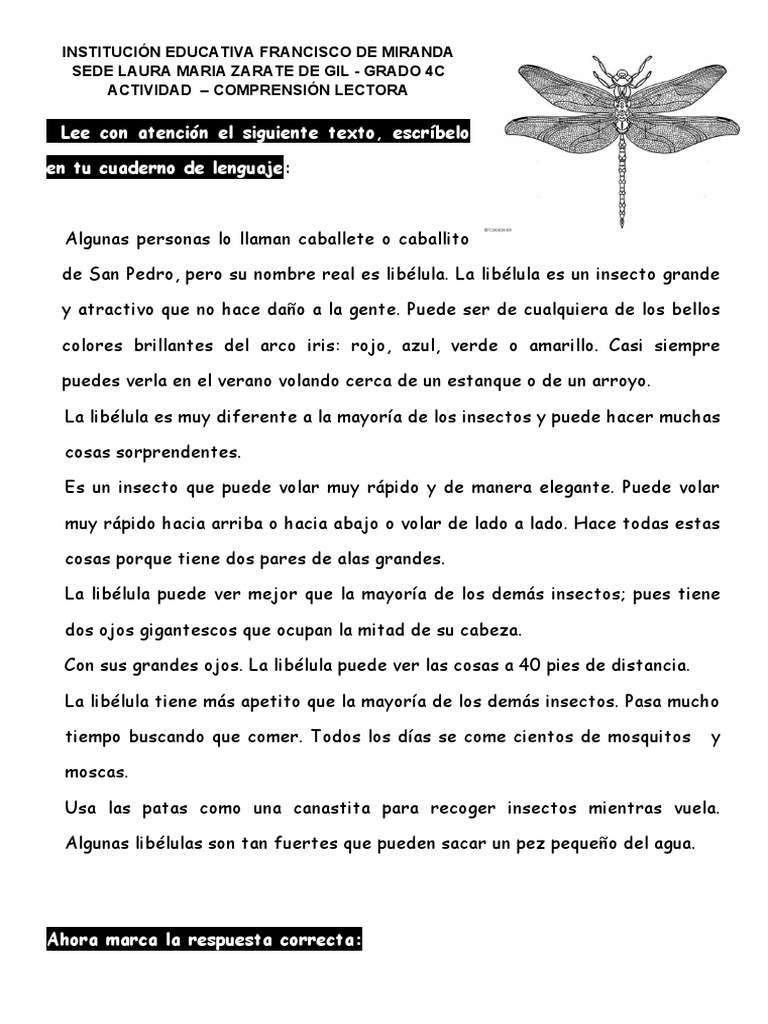Comprensión Lectora - Actividad Nº5 | PDF | Cereales | Apicultura