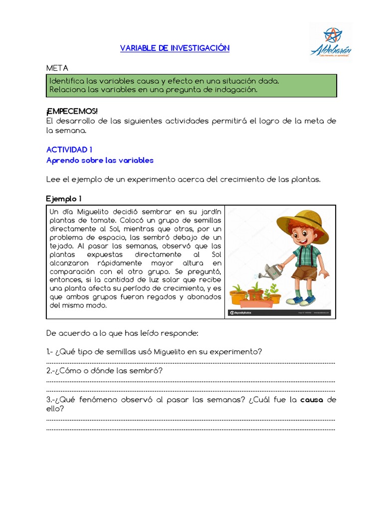 Variable de Investigación | PDF | Experimentar | Naturaleza