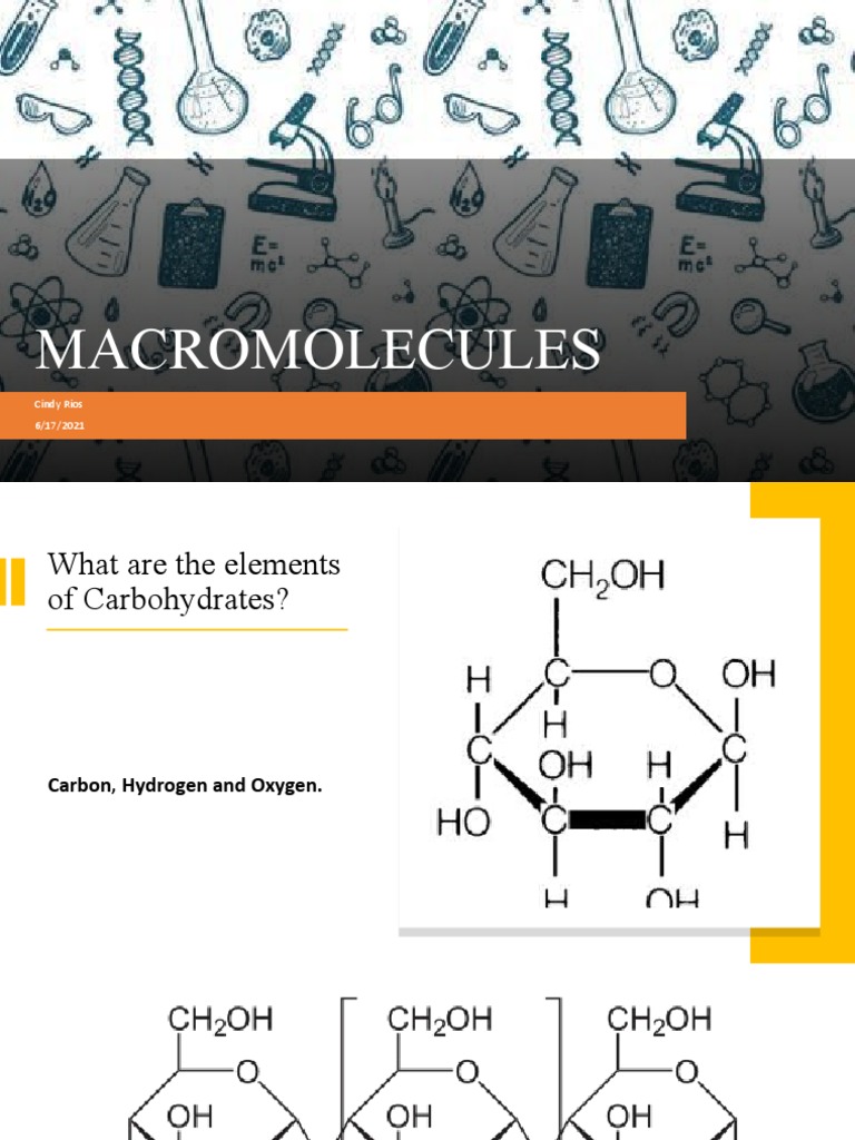 Macromolecules Project | PDF | Nucleic Acids | Carbohydrates
