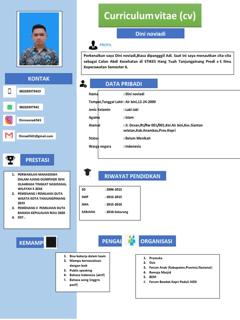 CV Dini Noviadi | PDF