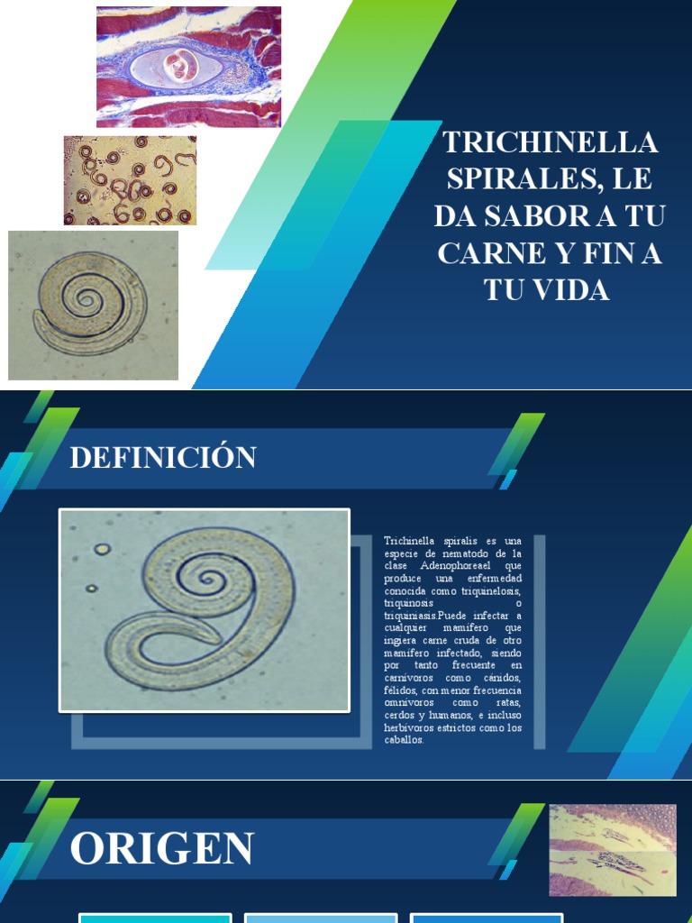 Trichinella, un parásito que pone en riesgo tu salud | PDF | Cerdo ...