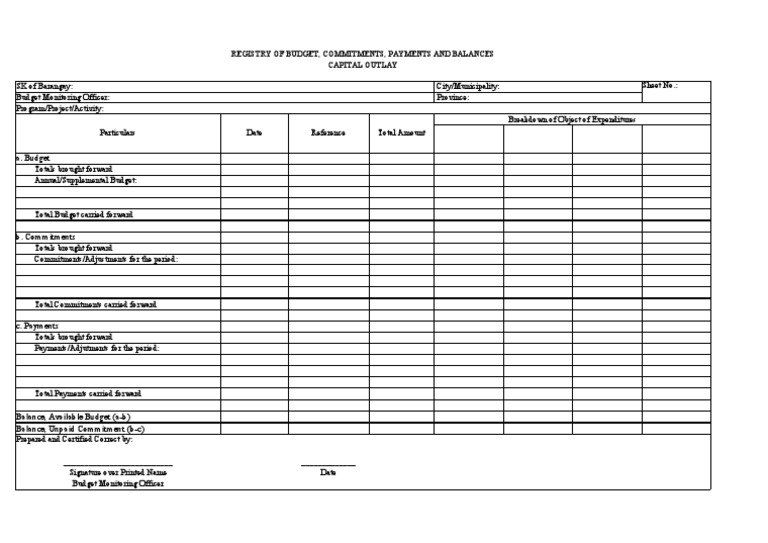 Registry of Budget, Commitments, Payments and Balances Capital Outlay | PDF