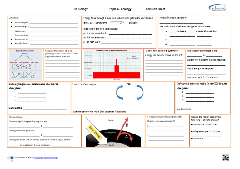 IB Biology Topic 4 - Ecology Revision Sheet: Backbird | PDF | Food Web ...