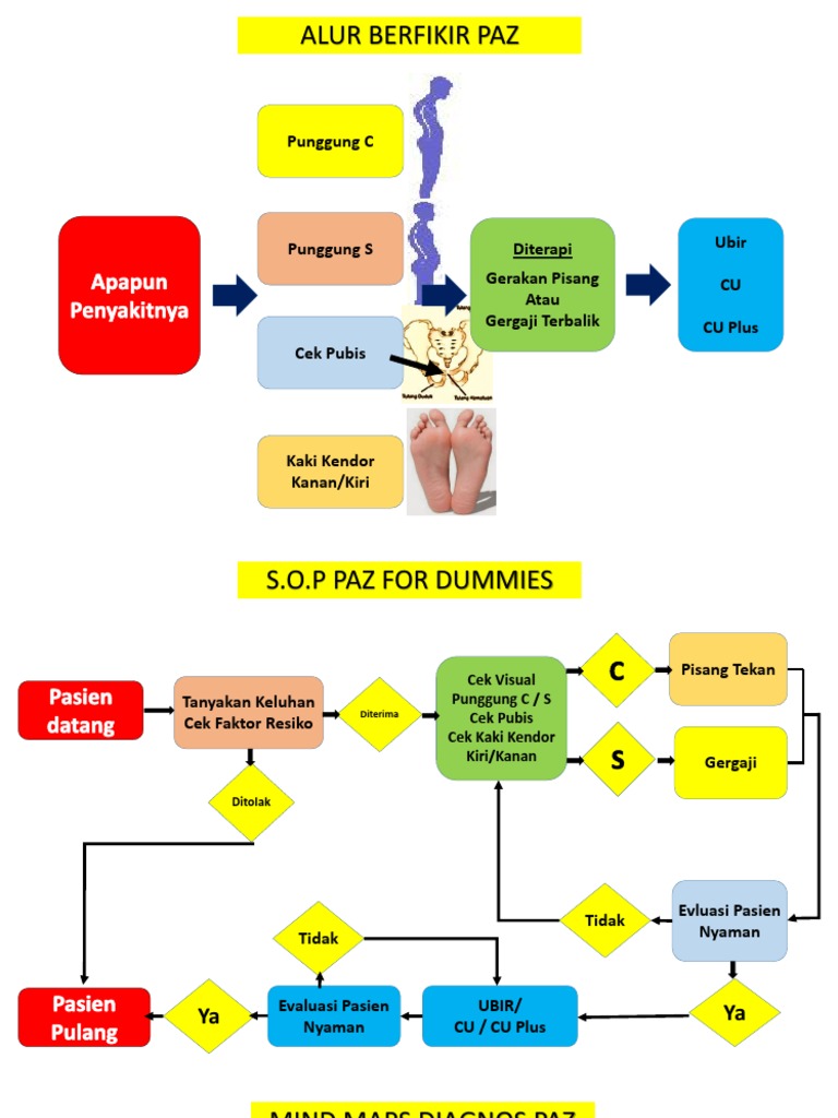 ALUR BERFIKIR DALAM PENERAPAN TERAPI PAZ | PDF