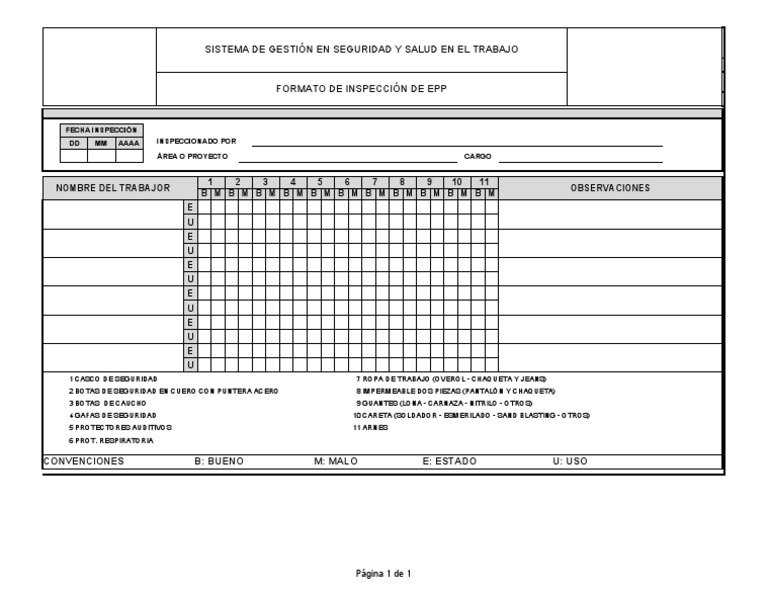Formato Inspección de EPP | PDF