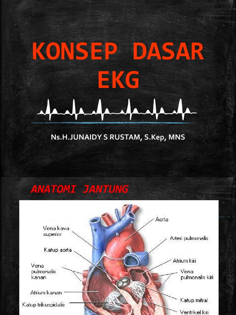 Konsep Dasar EKG: Ns.H.Junaidy S Rustam, S.Kep, Mns | PDF