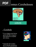 Síndromes Cerebelosos: Vermiano y Hemisferios | PDF | Cerebelo ...