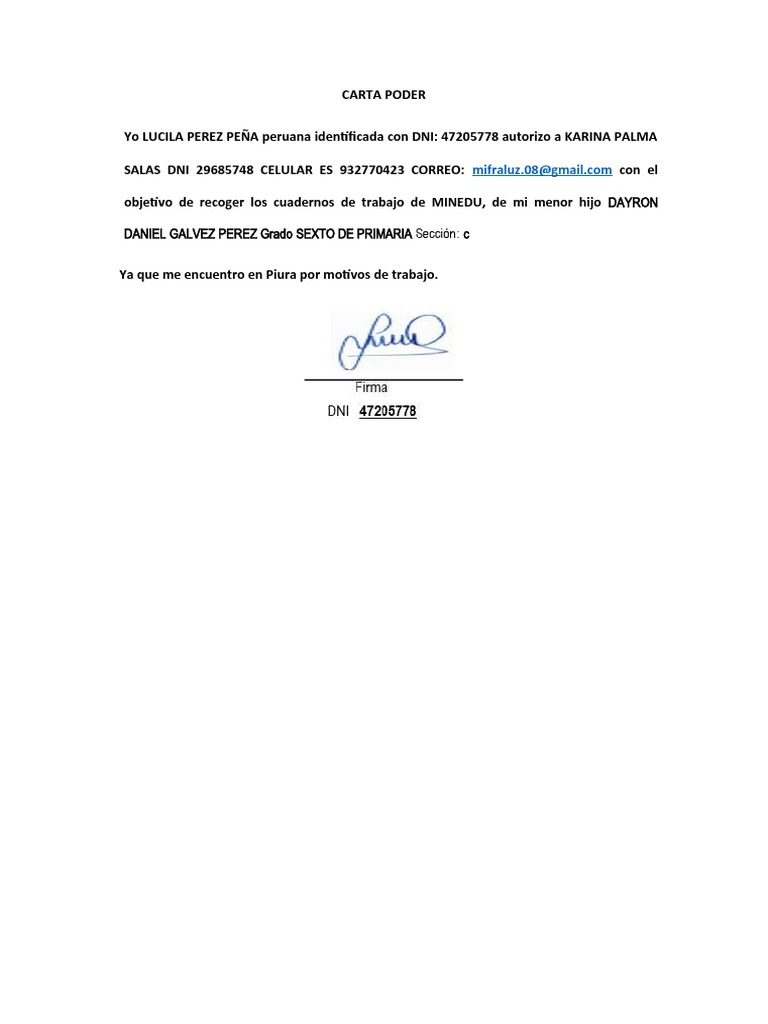 Carta Poder | PDF