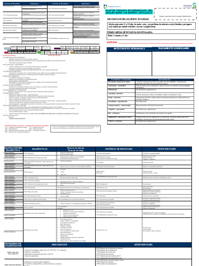 Plan de Cuidados Paciente Adolescente Con Intento Autolitico | PDF ...