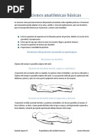Posicion Flower Semiflower | PDF