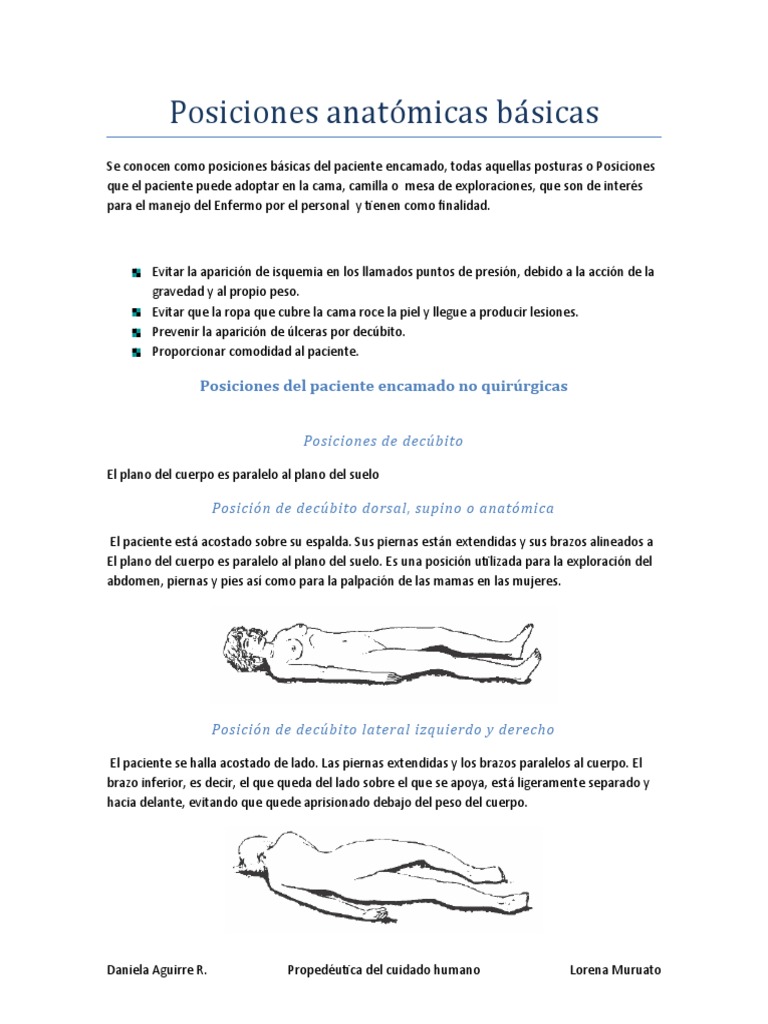 Posiciones Anatómicas Básicas | Descargar gratis PDF | Términos ...