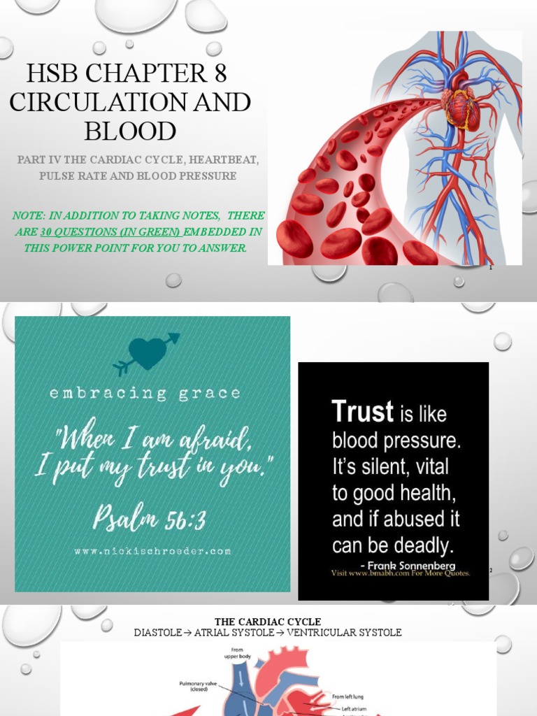 HSB Chapter 8 Circulatory System Part IV | PDF | Atrium (Heart) | Heart