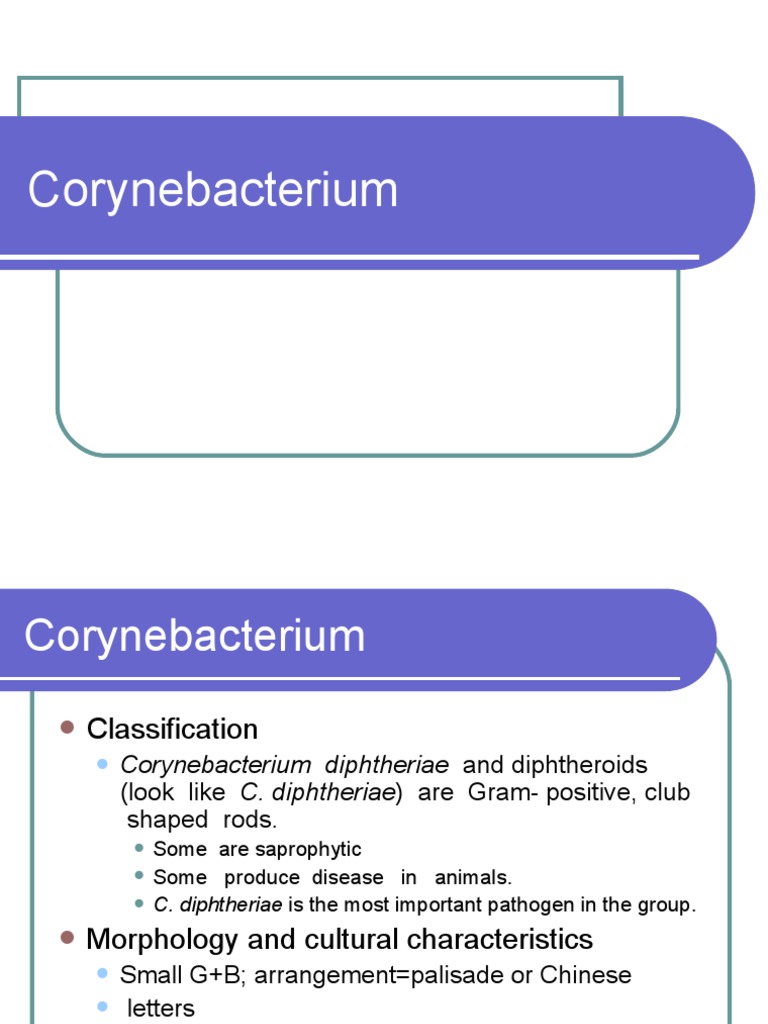 Corynebacterium | PDF | Microbiology | Medical Specialties
