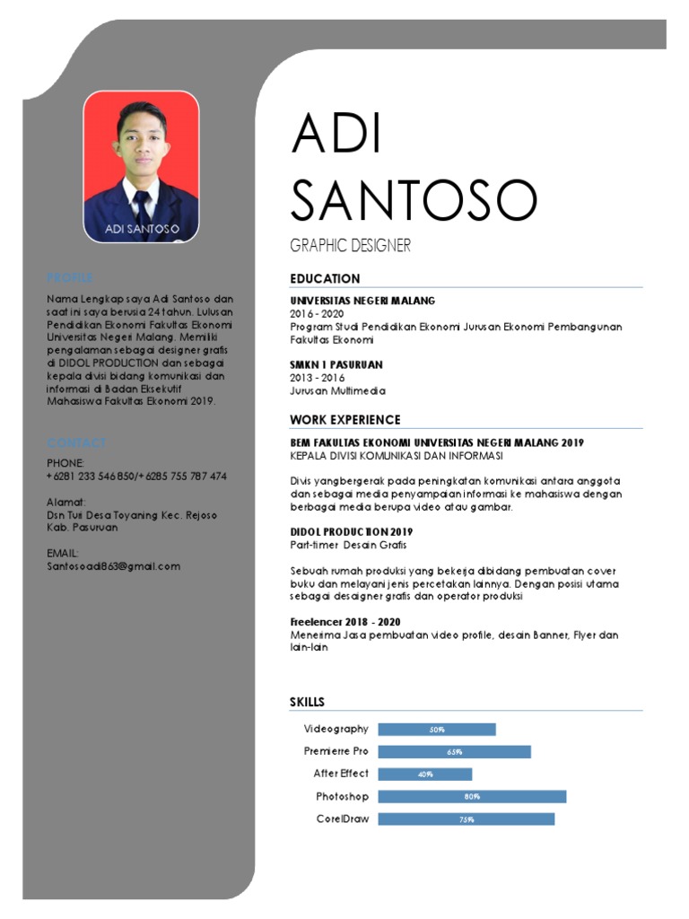 CurriculumVitae - Adi Santoso | PDF