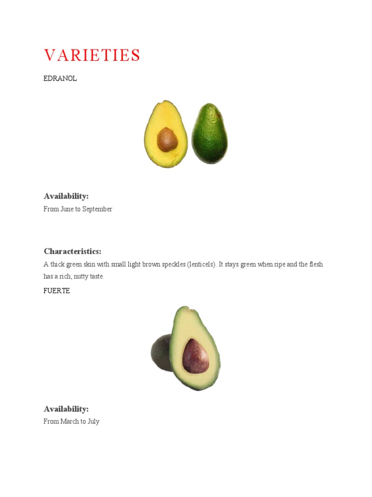 Avocado Varieties | PDF
