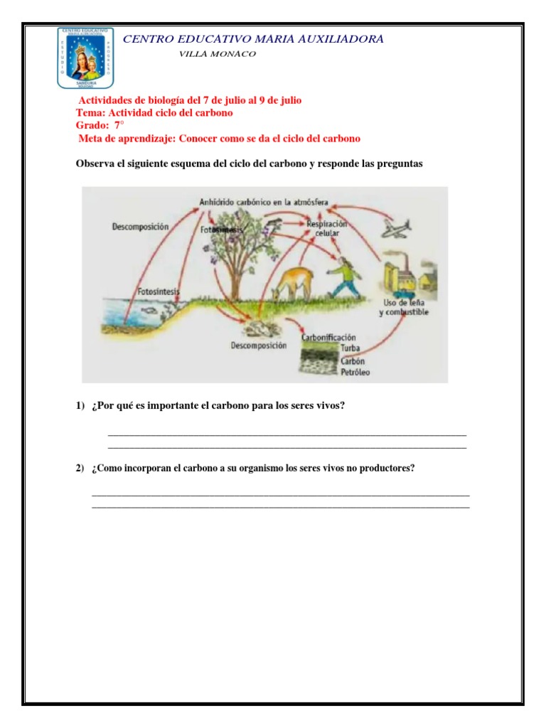 Actividad #2 Ciclo Del Carbono | PDF