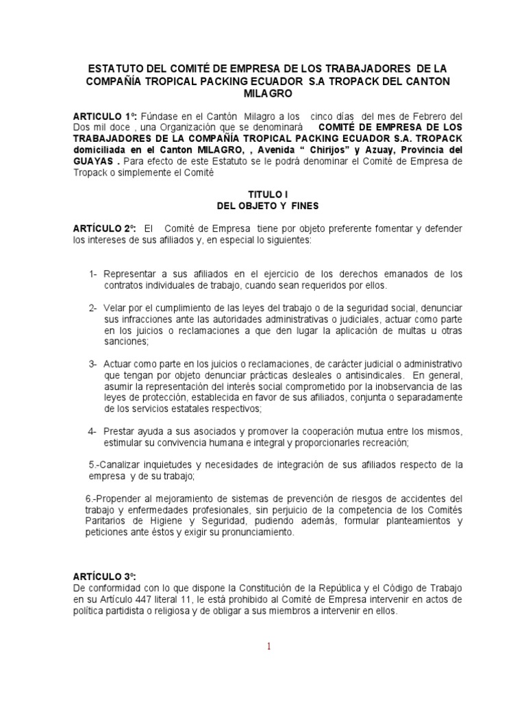 Estatuto del Comité de Empresa Tropack | PDF | Presupuesto | Bienes (Ley)