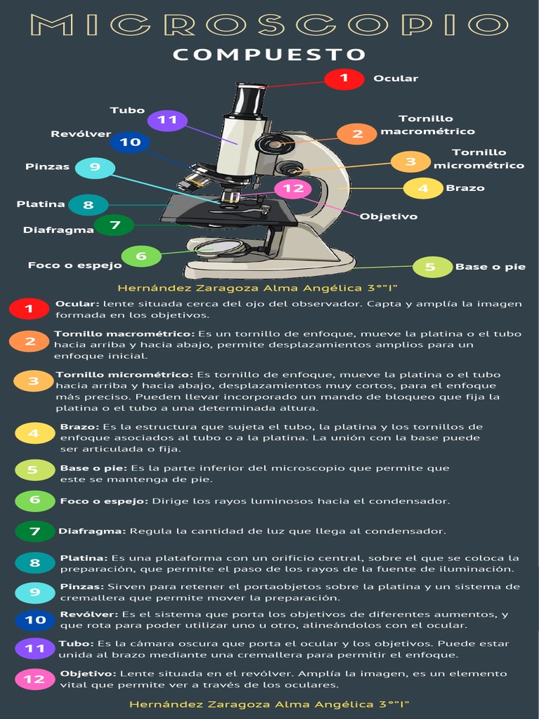 Partes Del Microscopio | PDF | Lente de la cámara | Ojo