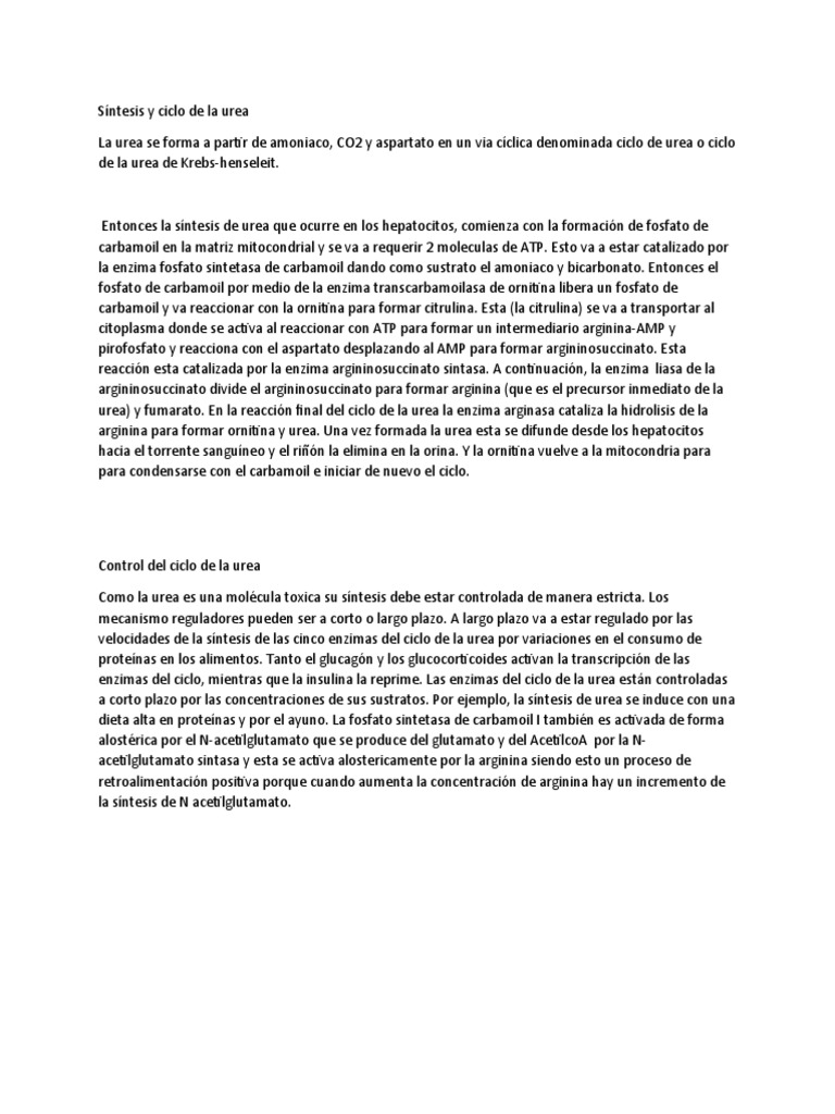 Síntesis y Ciclo de La Urea | PDF | Biología Celular | Procesos celulares